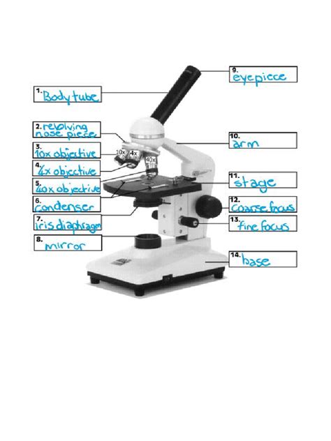 Image result for Microscope Label Diagram