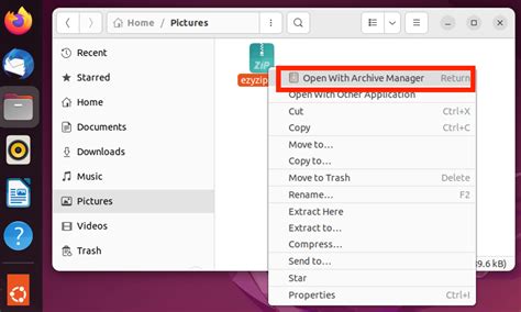 Image result for How to Extract Using WinZip
