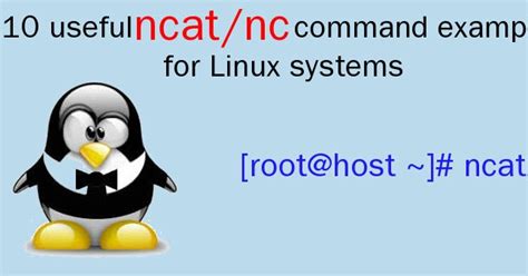 Image result for Install Ncat On Linux Using APG Install