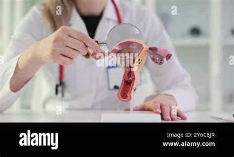 Image result for Alien Exams On Women