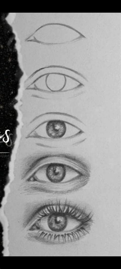 Image result for Fizz Eye Base Drawing