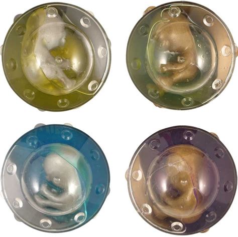 Image result for Alien Baby Slime