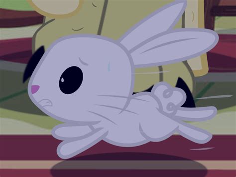 Image result for MLP Transformation