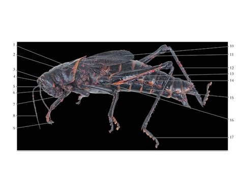 Image result for Grasshopper Structure Tutorials