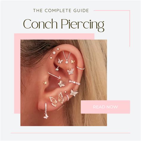 Image result for Conch Piercing