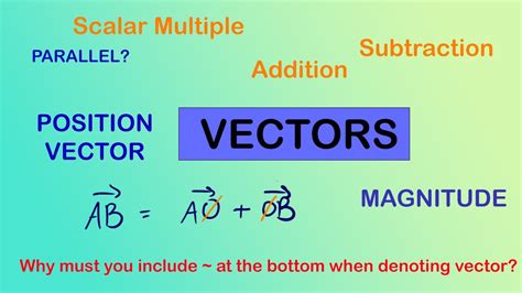 Image result for Vector Types