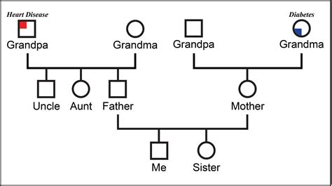 Image result for Three-Generation Genogram