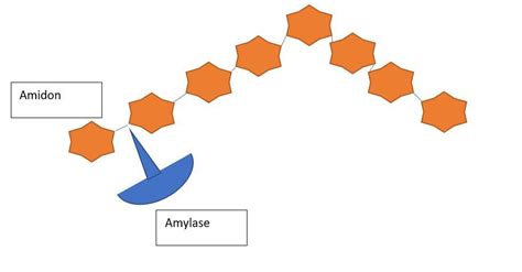 Image result for Comment Reprogrammer L Amidal