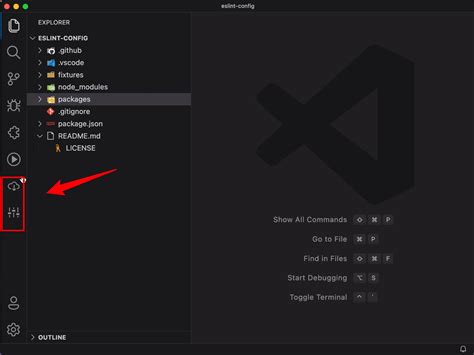 Image result for Vscode Python Icon On the Activity Bar