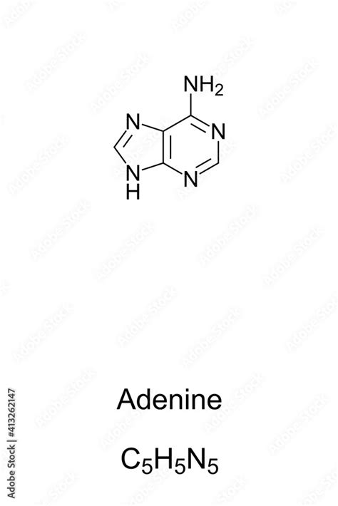Image result for Nucleic Acid Chemical Structure