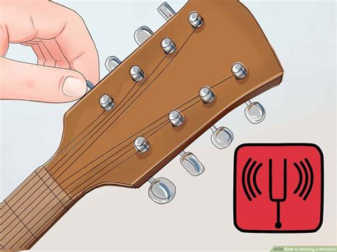 Image result for Mandolin String Types