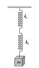 Image result for Spring Force Equa