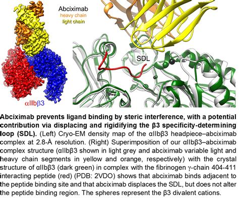 Image result for Oracle Software Testing Basics