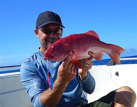 Image result for Reef Fishing Tips