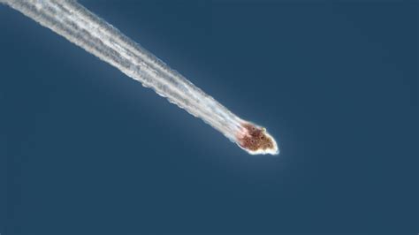 Image result for Alien Meteor Virus