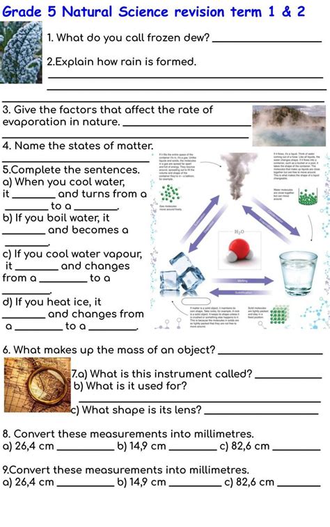 Image result for Frame and Shell Structures Grade 5 Worksheets Term 1