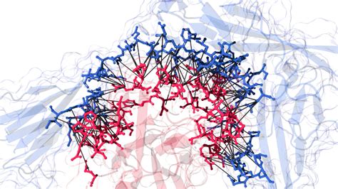 Image result for Protein Interactions Simulating Software