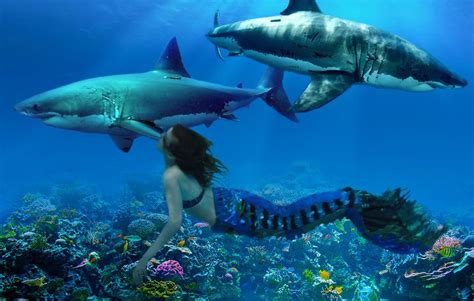 Image result for Mermaid My Tail Pool First