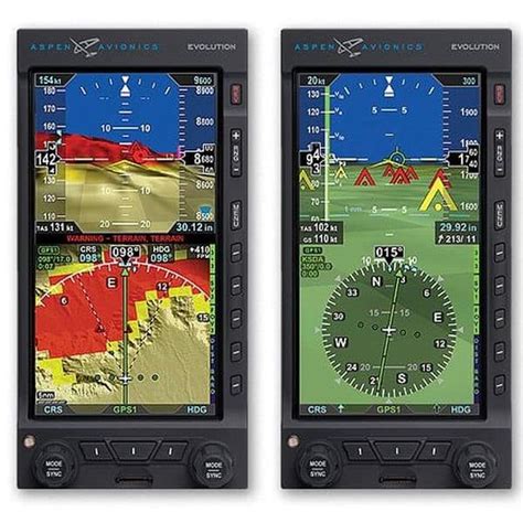 Image result for fly vision evolution