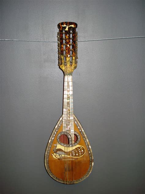 Image result for 12 String Mandolin
