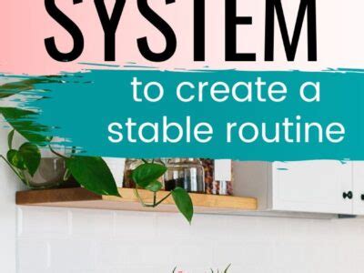 Image result for FlyLady System