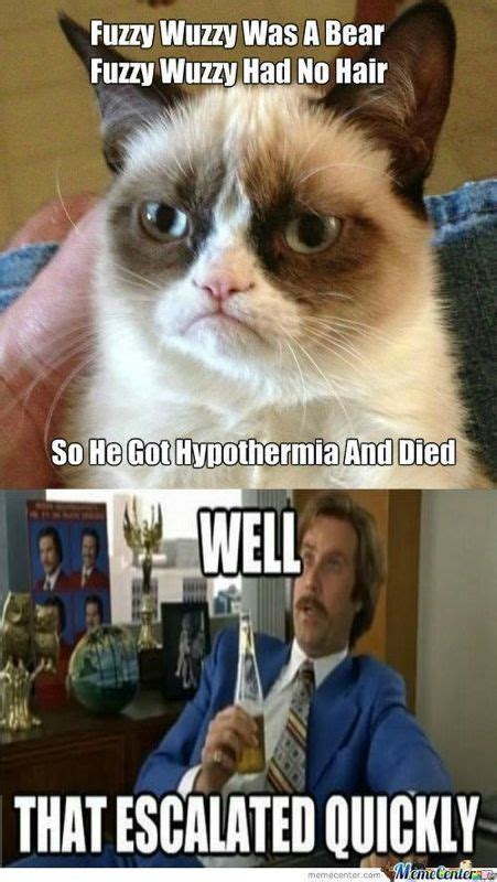 Image result for Grumpy Cat Memes Clean
