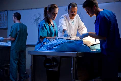 Image result for Virtual Human Body Dissection