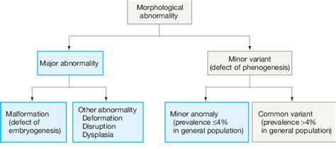 Image result for Morphological Classification System
