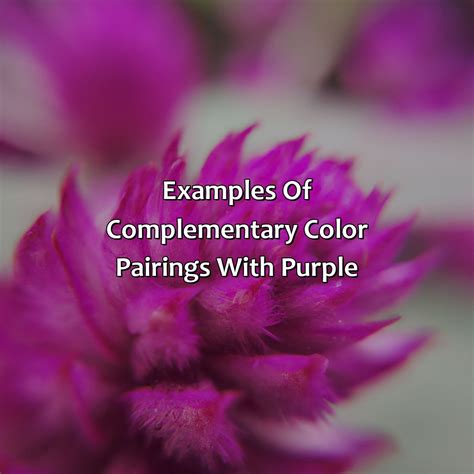 Image result for Complementary Color for Purple