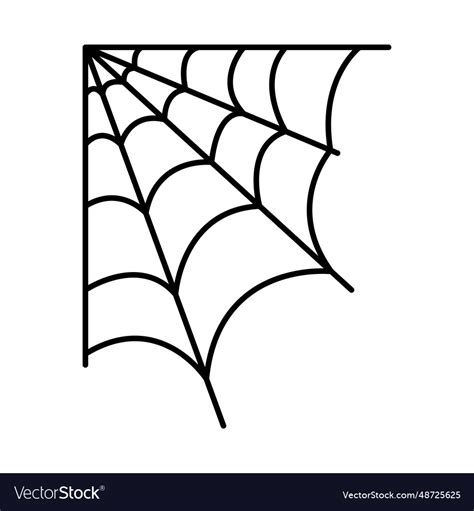 Image result for Spider Web Net