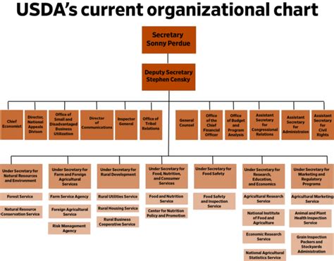 Image result for USDA Rural Development Organization Chart