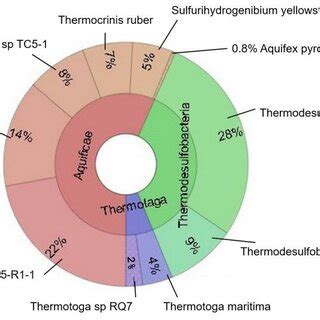 Image result for AronRa Systematic Classification System