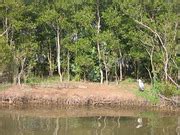 Image result for Scratch 2.0 Version Archive