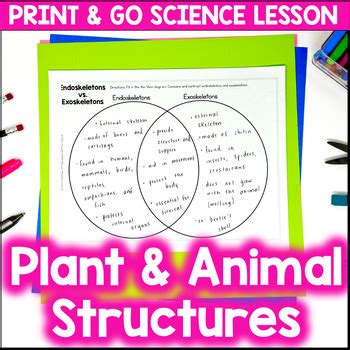 Image result for Frame and Shell Structures of Animals Grade 5