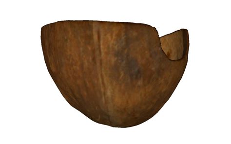 Image result for Coconut Shell Models