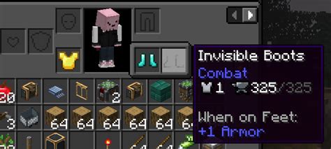 Image result for Invisible Mod Minecraft
