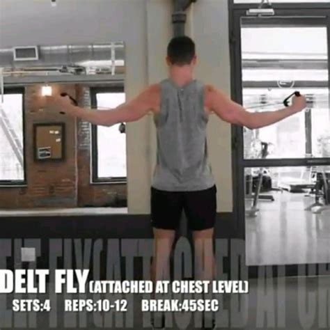 Image result for Back Fly Exercise