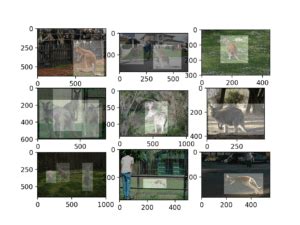 Image result for Tensorflow Keras Object Detection Example