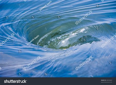Image result for Water Vortexing