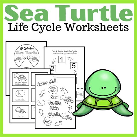 Image result for Turtle Life Cycle Free Printable