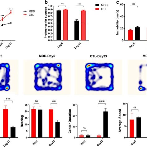 Image result for Mdd Testing