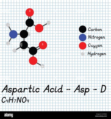 Image result for ASP Structure