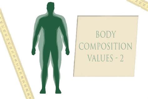 Image result for Body Composition Muscle