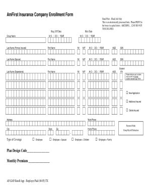 Image result for AmFirst Insurance Company PDF