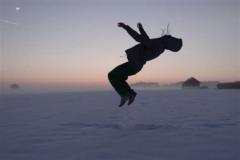 Image result for Trauma Cycle