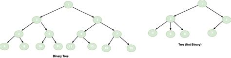 Image result for Binary Tree in Data Structure in Java