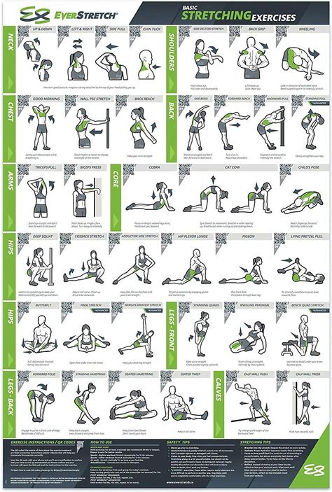 Image result for Mini Ball Exercise Chart
