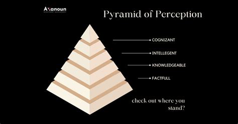 Image result for Ladder of Perception