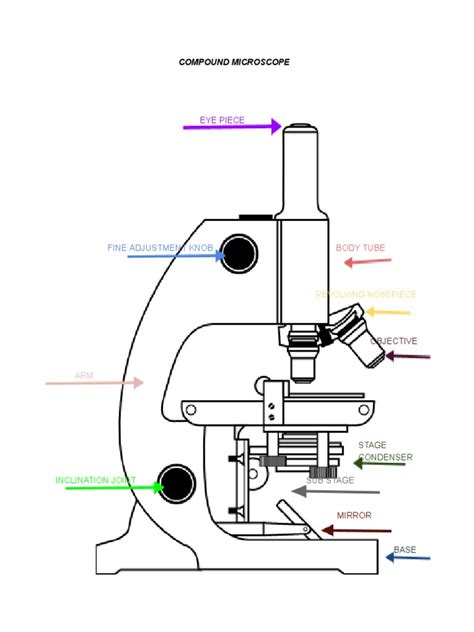 Image result for Biological Microscope