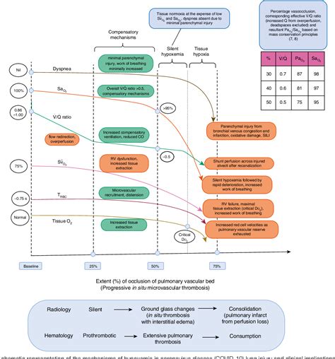 Image result for Intrapulmonary Shunt Bubble Study